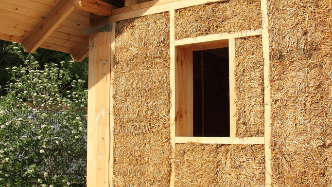 Reducing Carbon Emissions in Construction: The Power of Plant-Based ...
